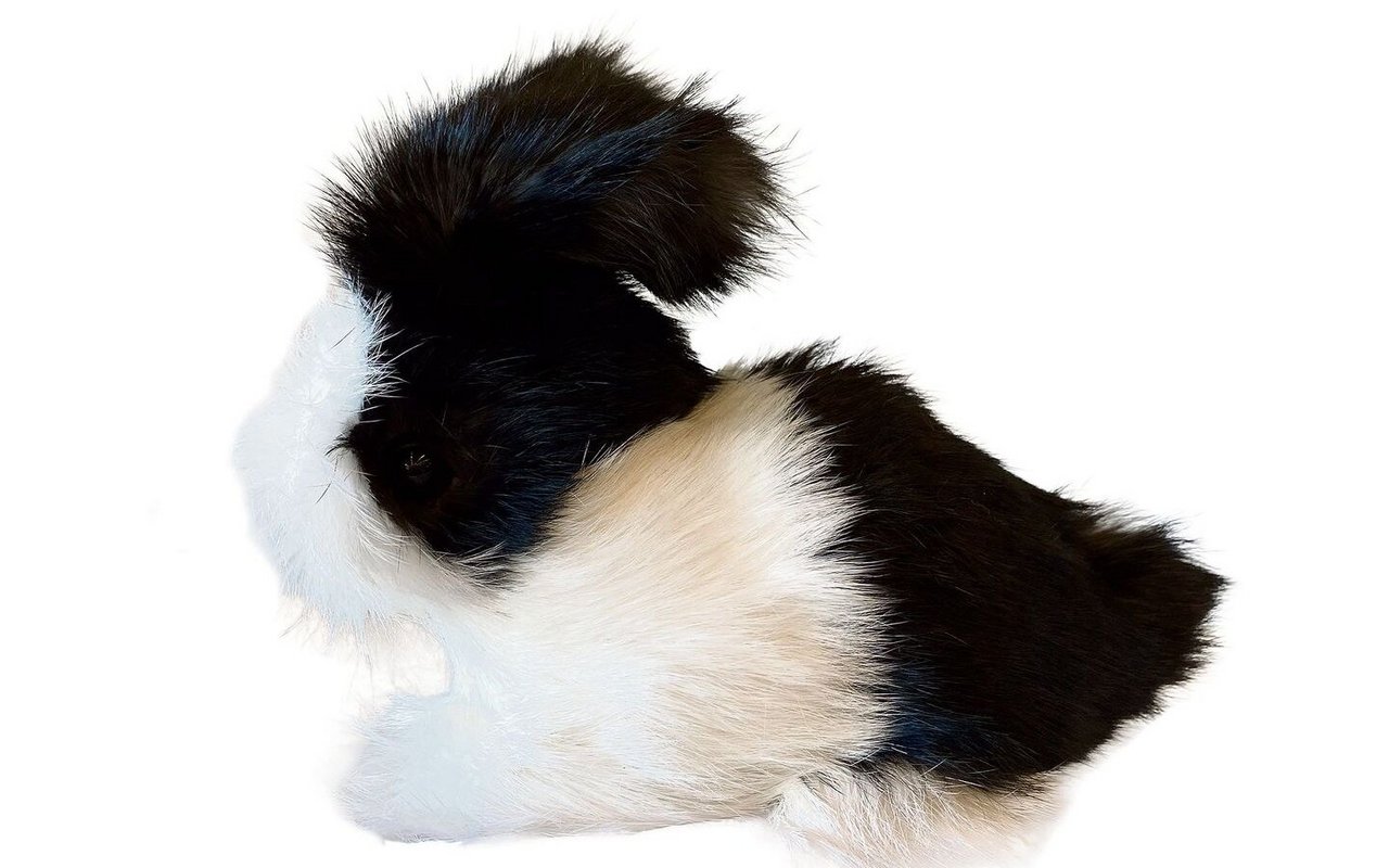 Nähen mit Fell: Accessoires statt Abfall - bauernzeitung.ch | BauernZeitung