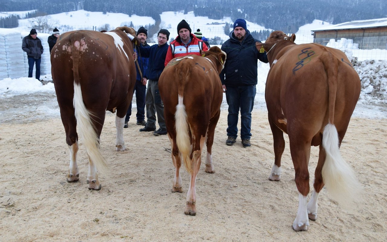 Madison Lionel holte sich den Titel - bauernzeitung.ch | BauernZeitung
