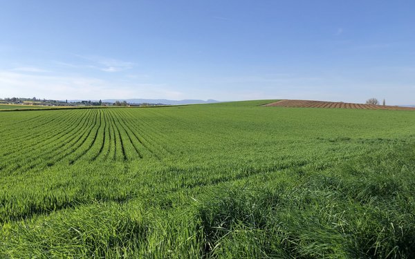 «Unsere Böden verhungern» - bauernzeitung.ch | BauernZeitung