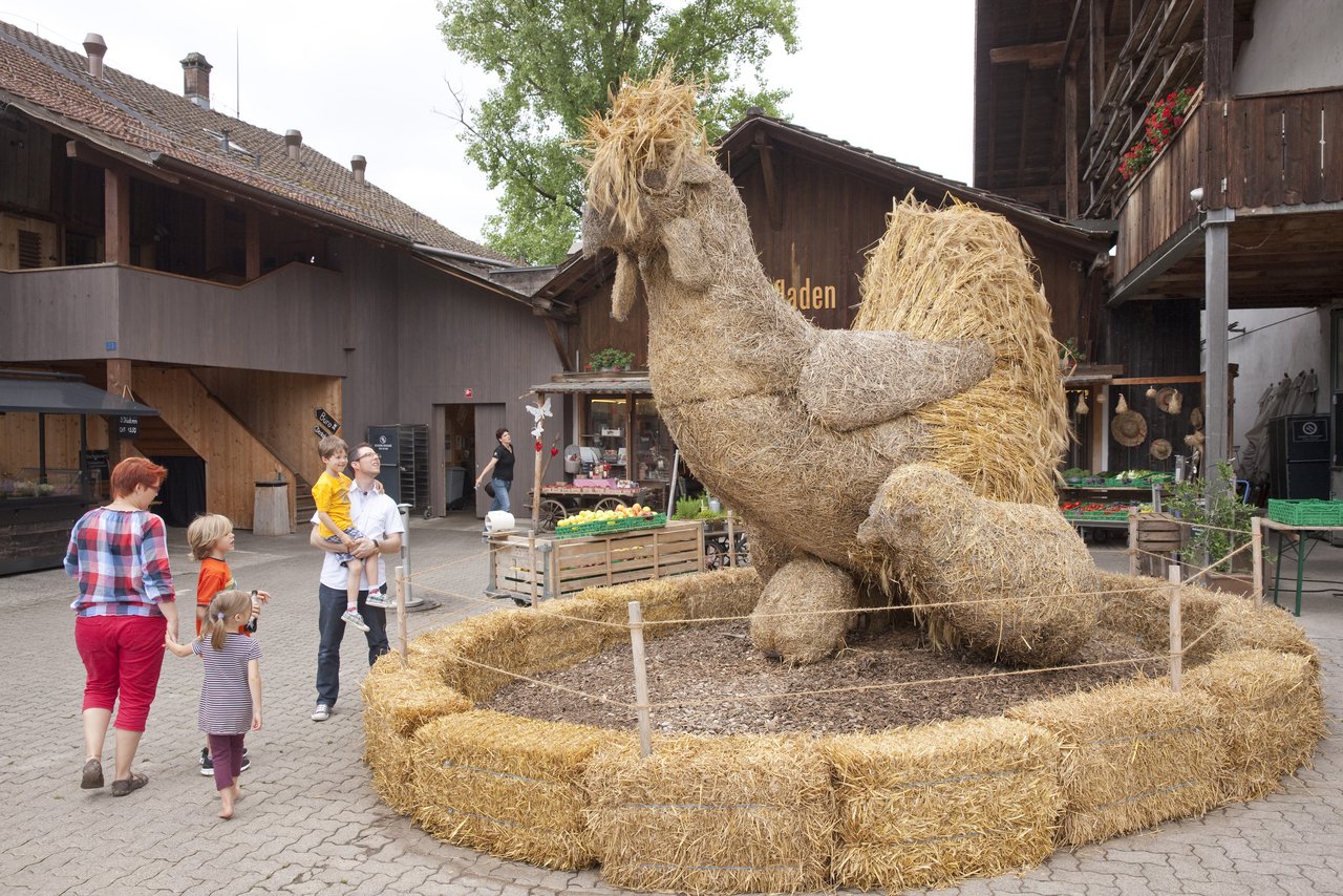 Jucker Farm gewinnt Swiss MICE Award - bauernzeitung.ch | BauernZeitung