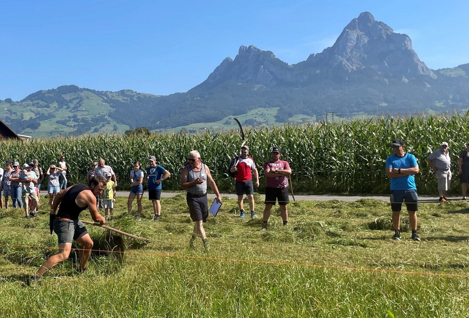 Die Sensen wurden geschwungen - bauernzeitung.ch | BauernZeitung