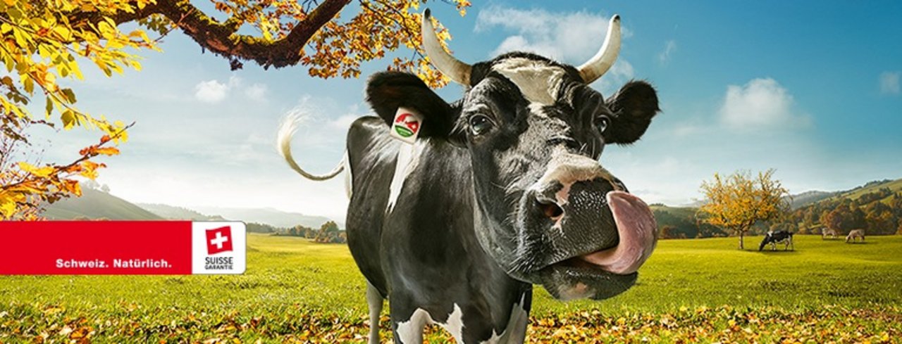 Swissmilk-Kampagne unter den Top 3 - bauernzeitung.ch | BauernZeitung