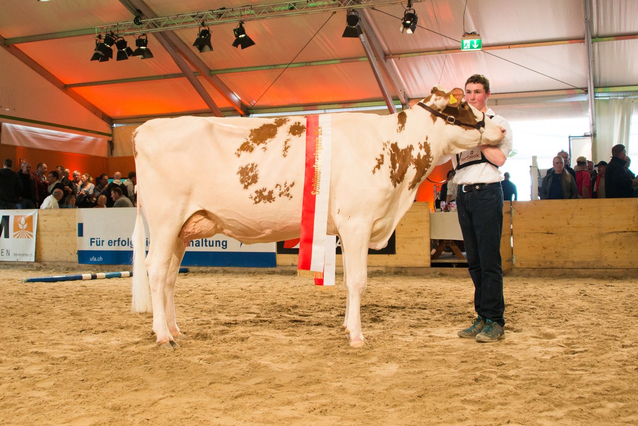 Roman Livia: Miss BEA 2017 und Siegerin der 31. Eliteschau ...