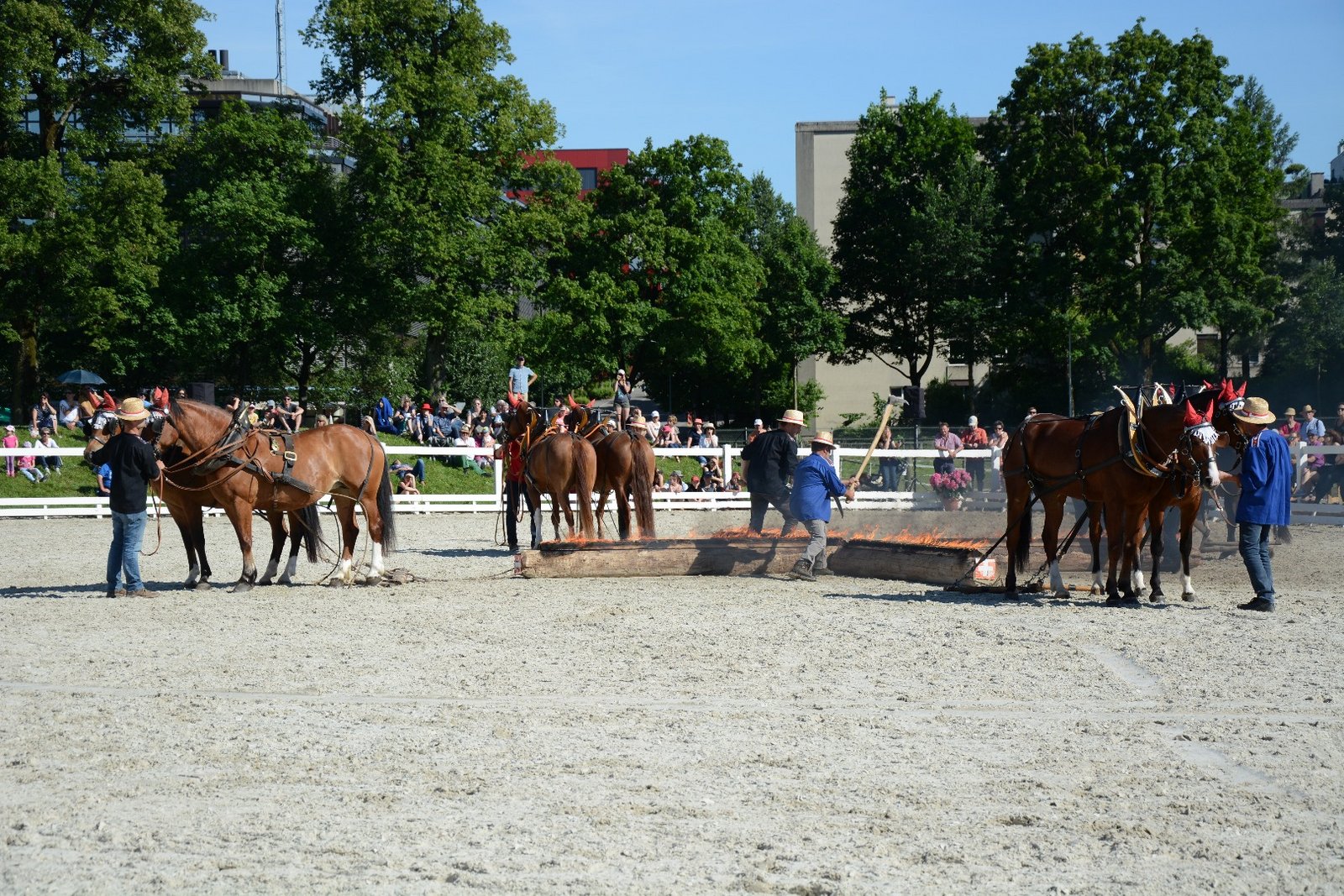 20-Jahr-Jubiläum des Nationalen Pferdezentrums in Bern - bauernzeitung ...