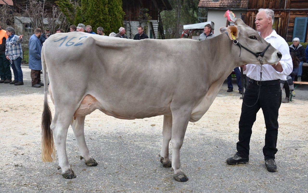 Hohe Qualität an der Regionalschau in der Schwarzenegg - bauernzeitung ...