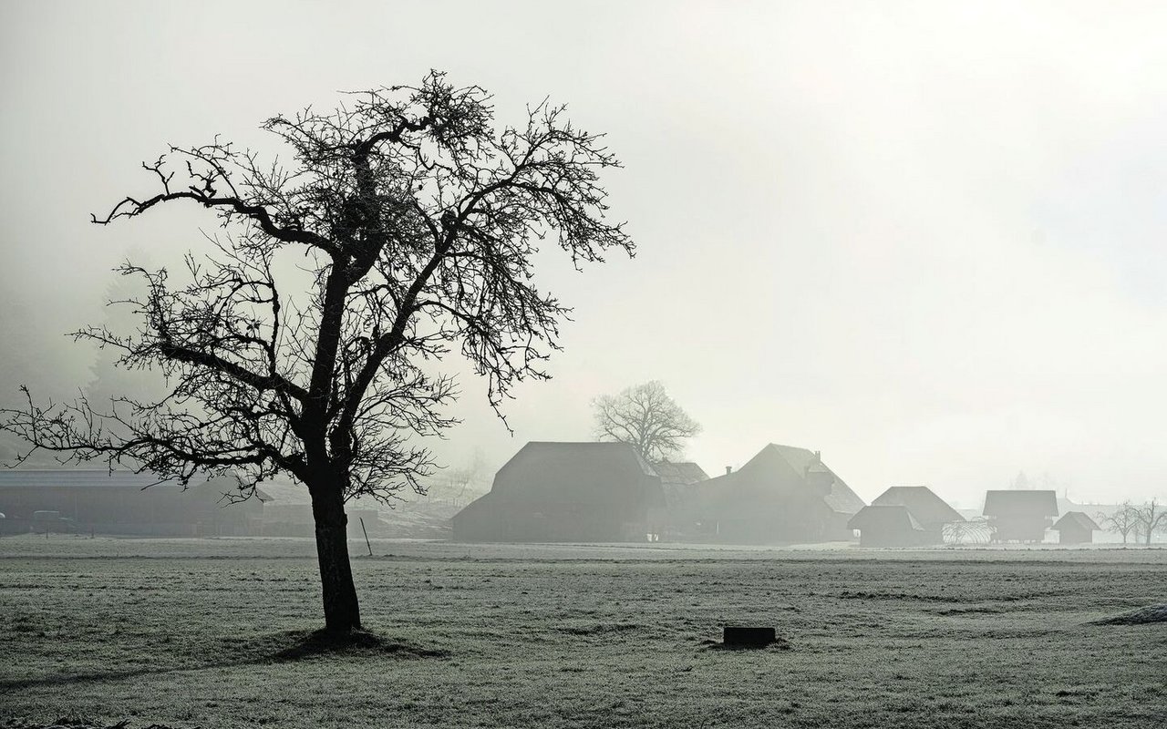 Sweet norma patreon and provided me with a light-friendly