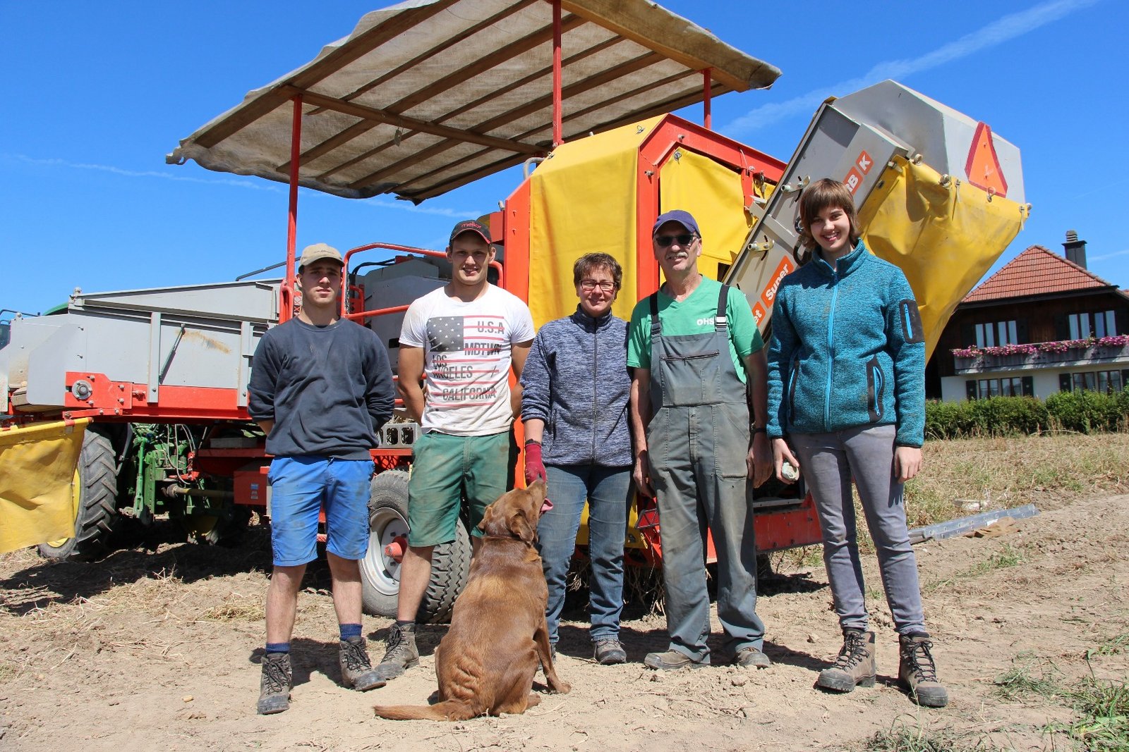 Frühkartoffelernte - bauernzeitung.ch | BauernZeitung