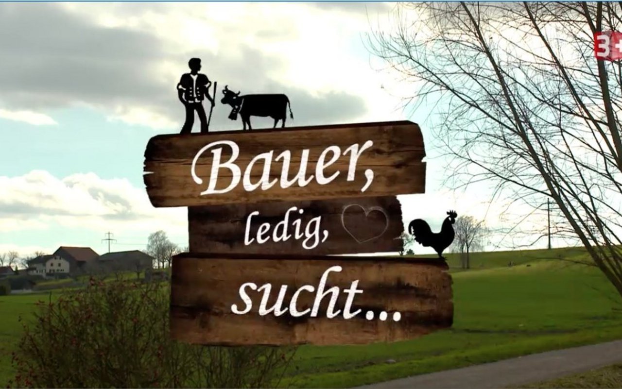 Diese sieben Bauern suchen diesen Sommer ihr Liebesglück bei «Bauer, ledig, sucht ...