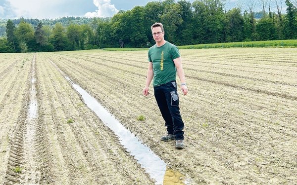 Hubers Gemüsekulturen sind Wind und Wetter ausgesetzt - bauernzeitung.ch | BauernZeitung