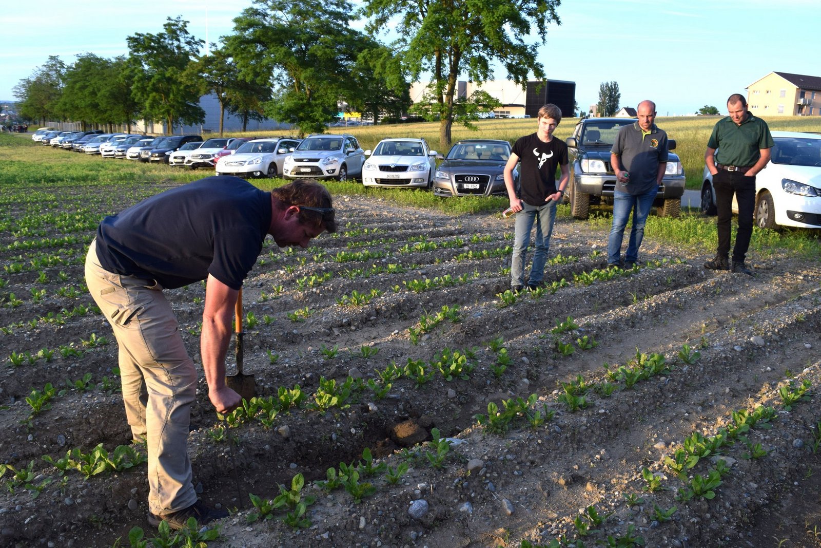 Trotz miesem Wetter Lichtblicke im Ackerbau - bauernzeitung.ch | BauernZeitung