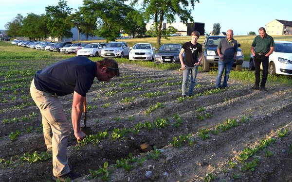 Trotz miesem Wetter Lichtblicke im Ackerbau - bauernzeitung.ch | BauernZeitung
