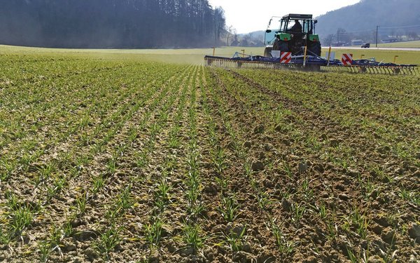 Ackerbau im Herbst & Winter - bauernzeitung.ch | BauernZeitung