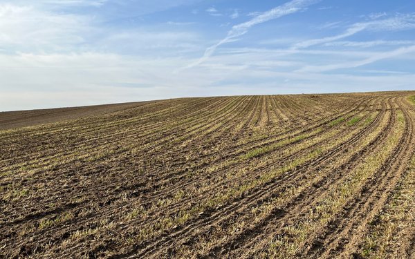 Reichlich Sonne für Käfer und Pflanzen - bauernzeitung.ch | BauernZeitung