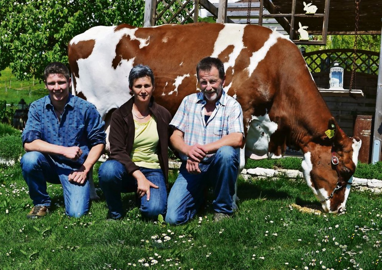Trotz 170'674 kg Milch noch rüstig - bauernzeitung.ch | BauernZeitung