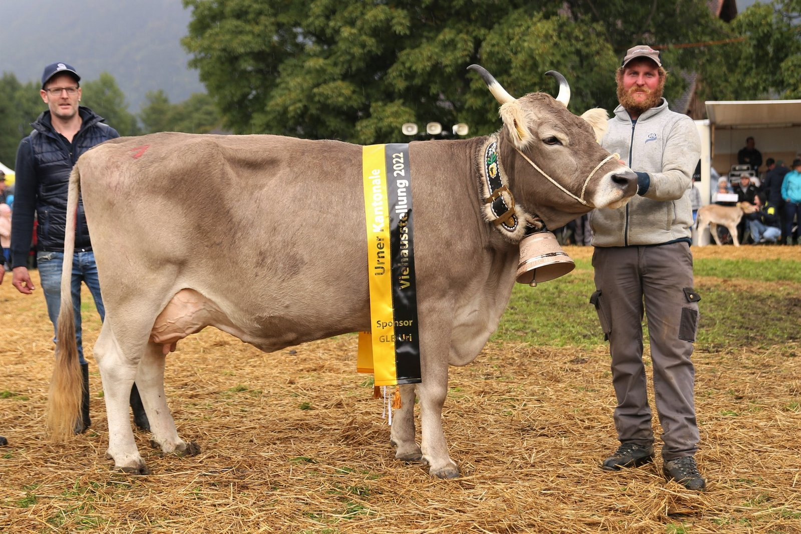 Belinda dominierte an der Urner Kantonalen Grossviehschau ...