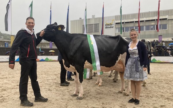 Die schönsten Kühe heissen: Aileen, Frosinone, Alaska, Viola und ...