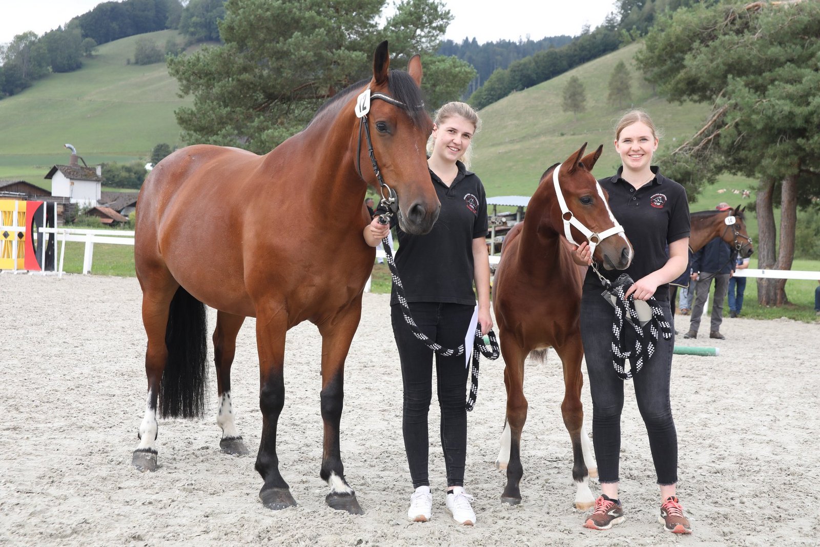 Familie Bernhard siegt mit Hengstfohlen «Edison BR» in Hasle-Rüegsau ...