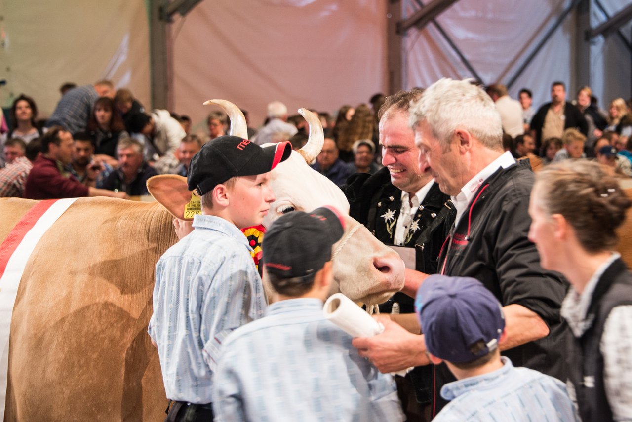 Roman Livia: Miss BEA 2017 und Siegerin der 31. Eliteschau ...