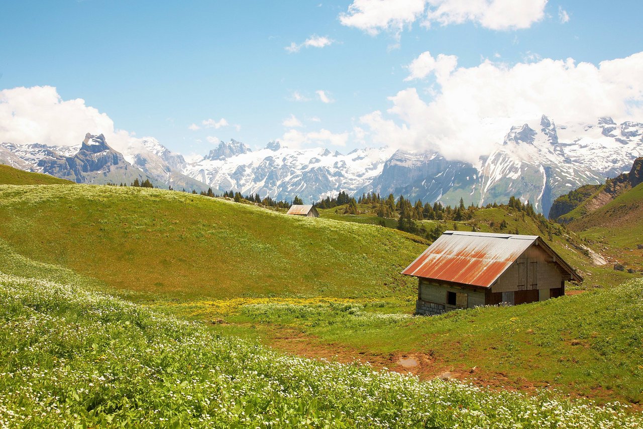 Kanton Luzern hat ein grosses Potenzial für Agrotourismus ...