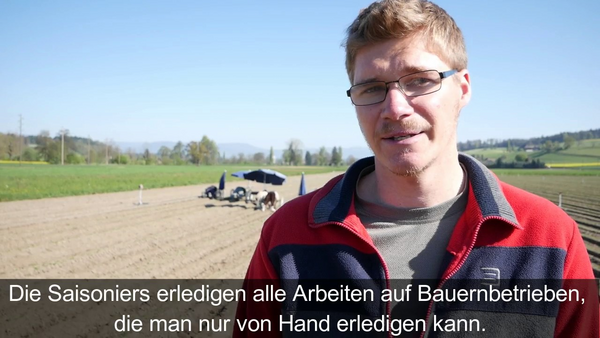 Jäten mit "Ferrari's" - bauernzeitung.ch | BauernZeitung