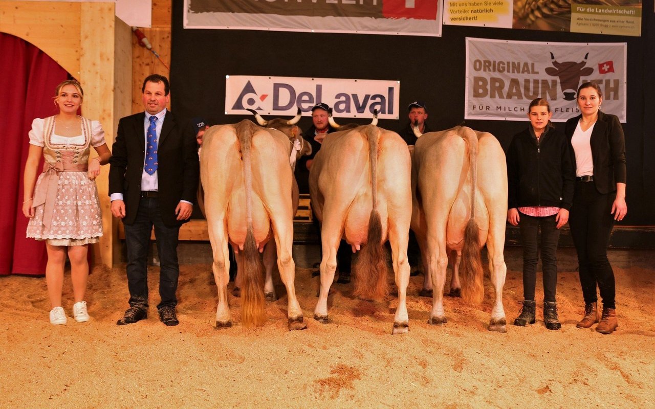 Doppelerfolg für Harlei Helma an der Sorexpo - bauernzeitung.ch ...