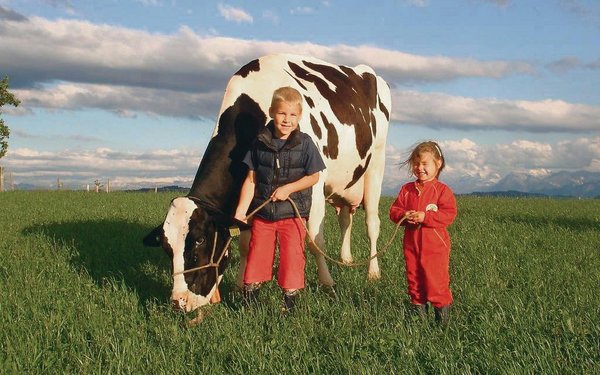 Ein halbes Jahrhundert Holsteingeschichte - bauernzeitung.ch | BauernZeitung