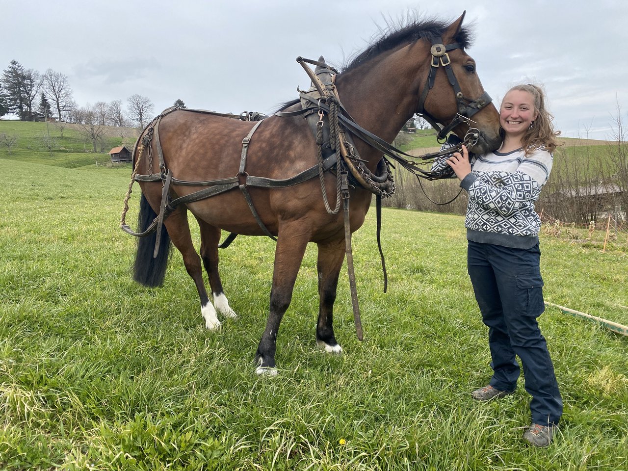 Bauern mit Pferdestärke: «Ich diskutiere nicht, ich mache ...