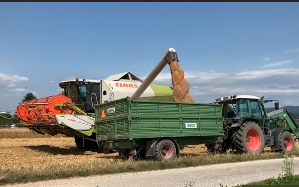 «Die Preise müssen noch dieses Jahr um 5 bis 10% steigen» - bauernzeitung.ch | BauernZeitung