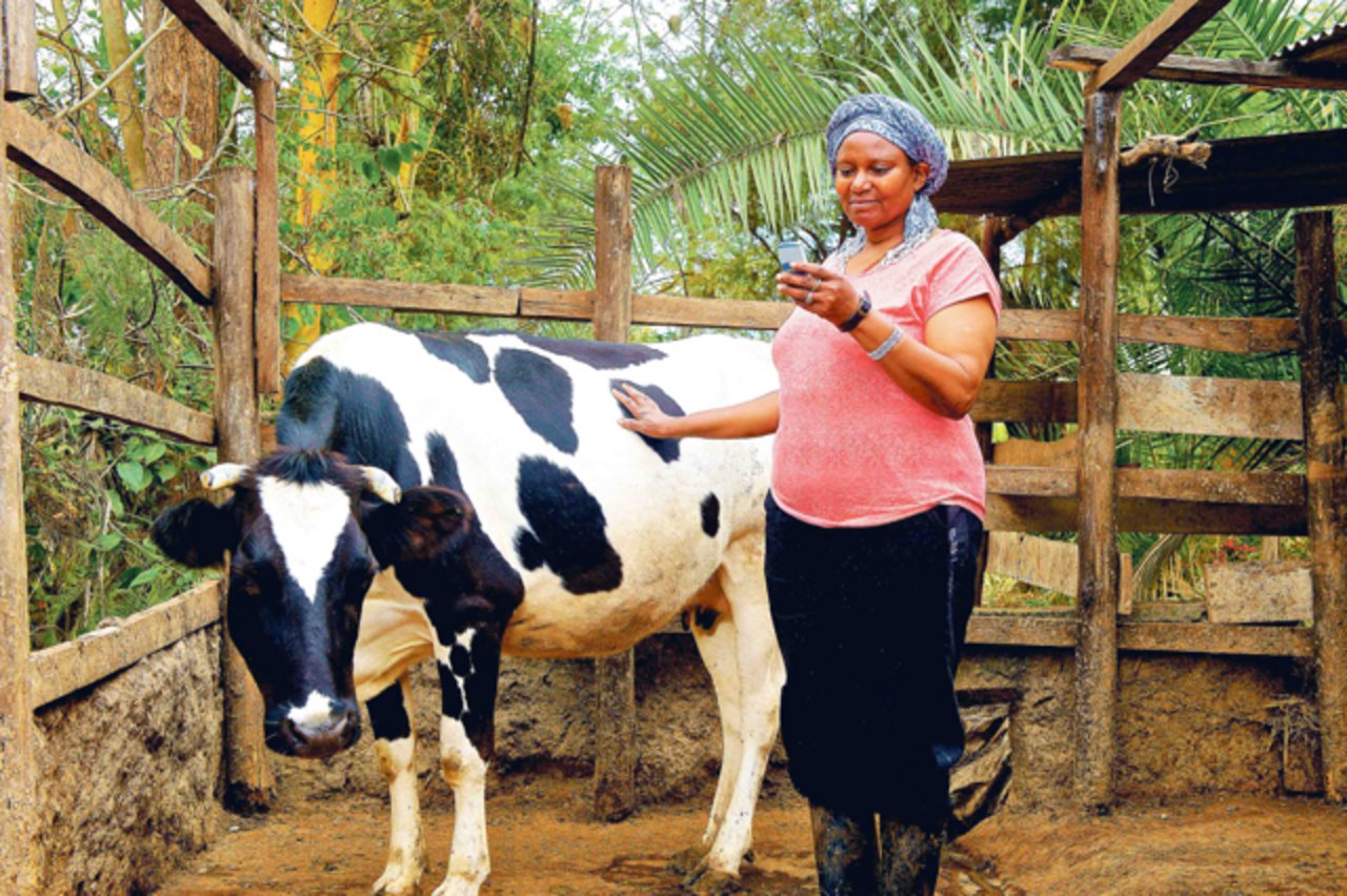 Eine App zur Produktionssteigerung - bauernzeitung.ch | BauernZeitung
