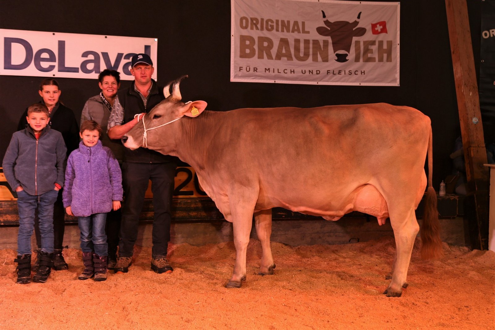 Doppelerfolg für Harlei Helma an der Sorexpo - bauernzeitung.ch | BauernZeitung