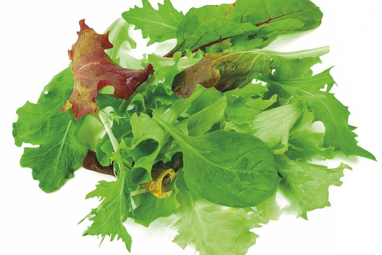 Nutzgarten: Der richtige Salat für jede Jahreszeit - bauernzeitung.ch ...