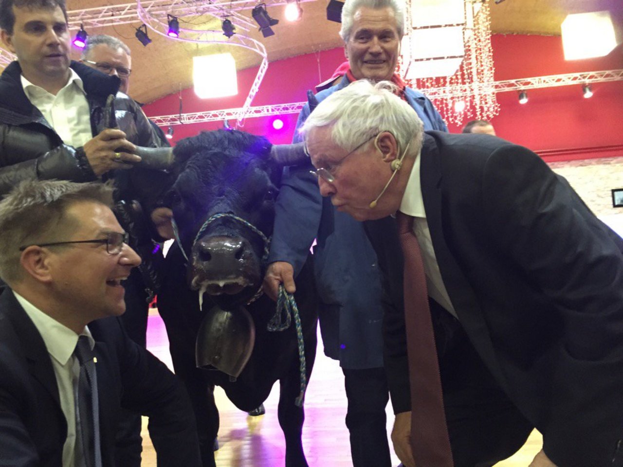 SVP: Toni Brunner erhält zum Abschied eine Eringerkuh - bauernzeitung.ch | BauernZeitung