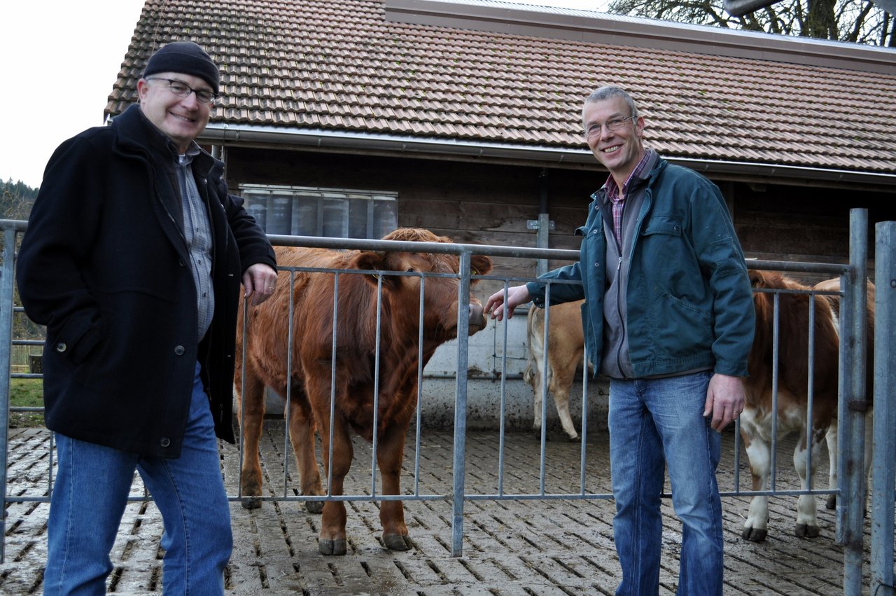 Rindviehmast: Bio-Weide-Beef ist gesucht - bauernzeitung.ch | BauernZeitung