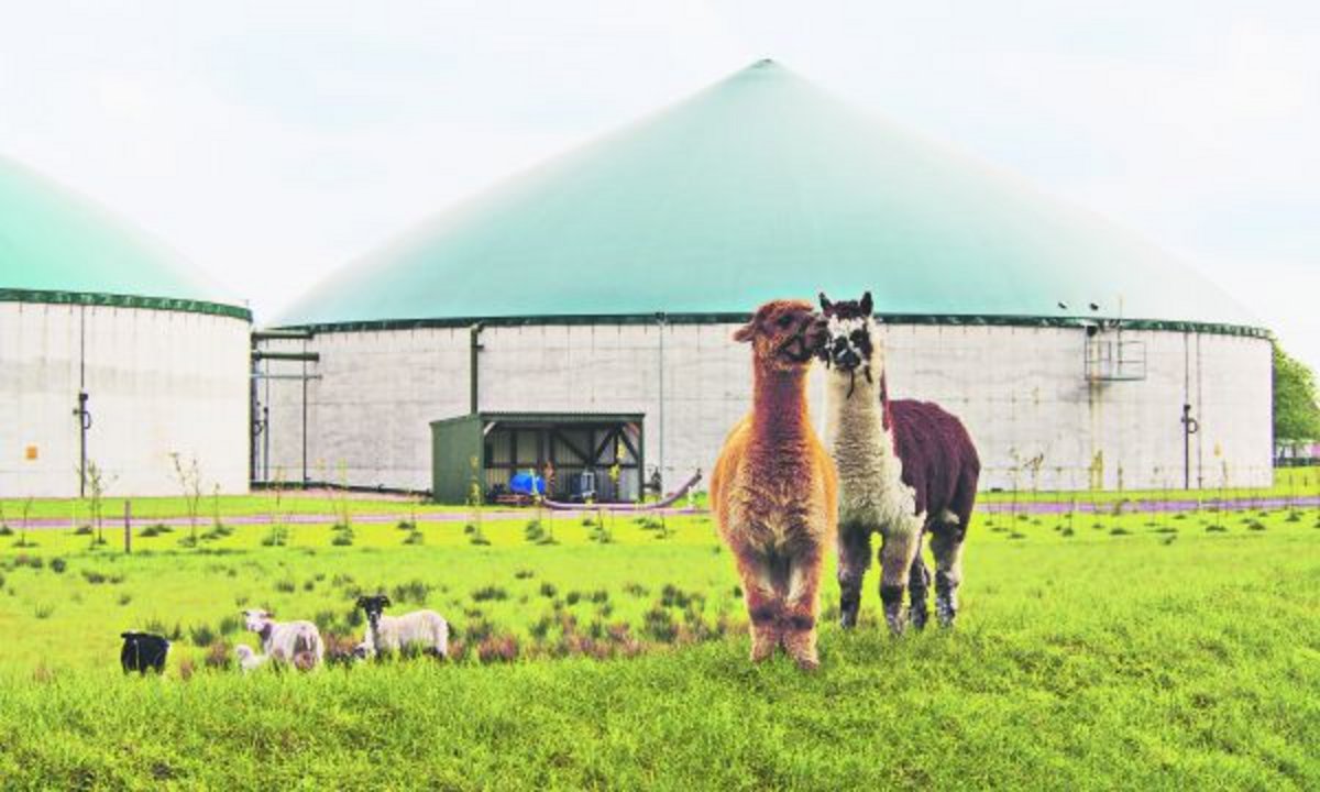 Schlummerndes Potenzial nutzen - bauernzeitung.ch | BauernZeitung