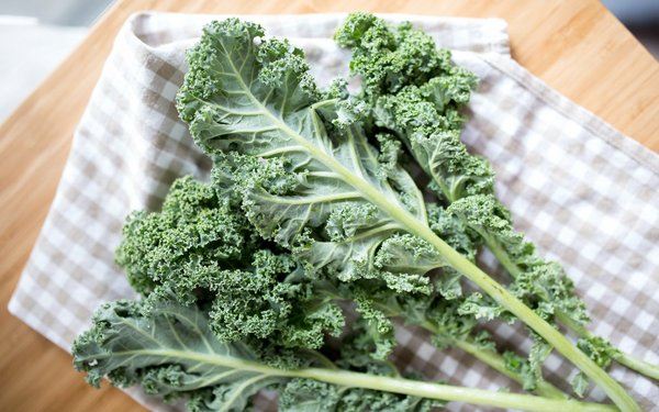 Federkohl - auf Umwegen zum Trendgemüse - bauernzeitung.ch | BauernZeitung