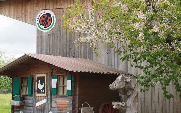 Die Aargauer IP-Bauern sind gut unterwegs mit Extenso - bauernzeitung.ch | BauernZeitung