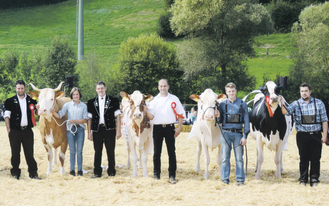 Wer schöne Kühe sehen will, geht an die Emmentaler-Verbandsschau ...