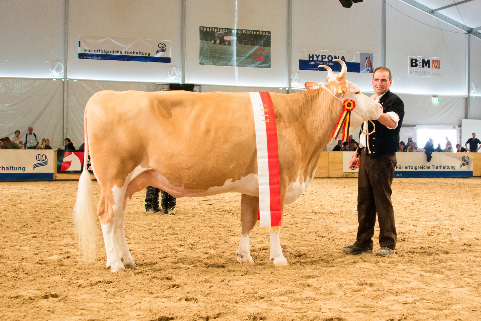 Roman Livia: Miss BEA 2017 und Siegerin der 31. Eliteschau ...
