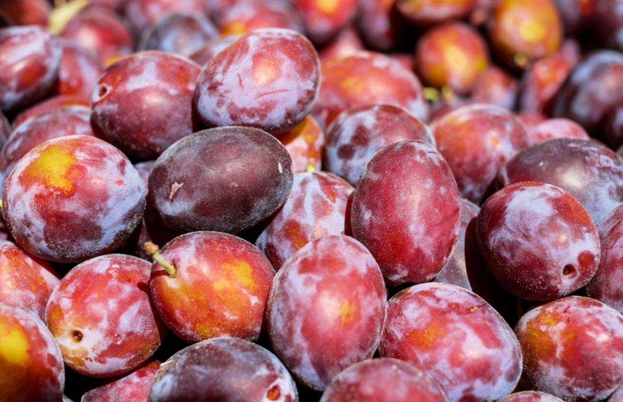 Sieben Fakten zu Zwetschgen - bauernzeitung.ch | BauernZeitung