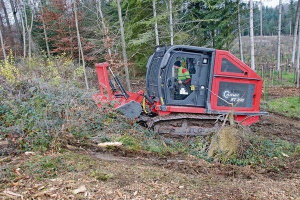 Mit Raupentechnik im Wald unterwegs - bauernzeitung.ch | BauernZeitung