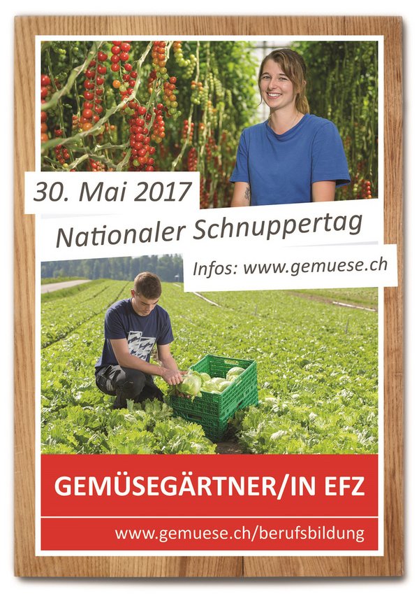30. Mai: Schnuppertag Gemüsegärtner/in - bauernzeitung.ch | BauernZeitung