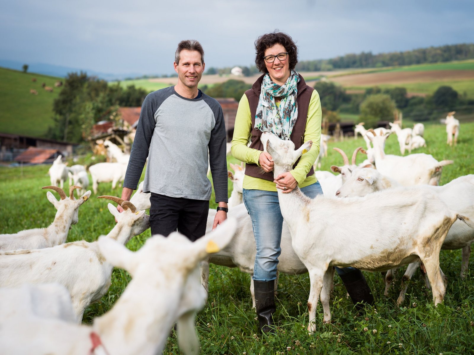 Diese 5 Projekte gewinnen den Förderpreises Agroforst Aargau - bauernzeitung.ch | BauernZeitung