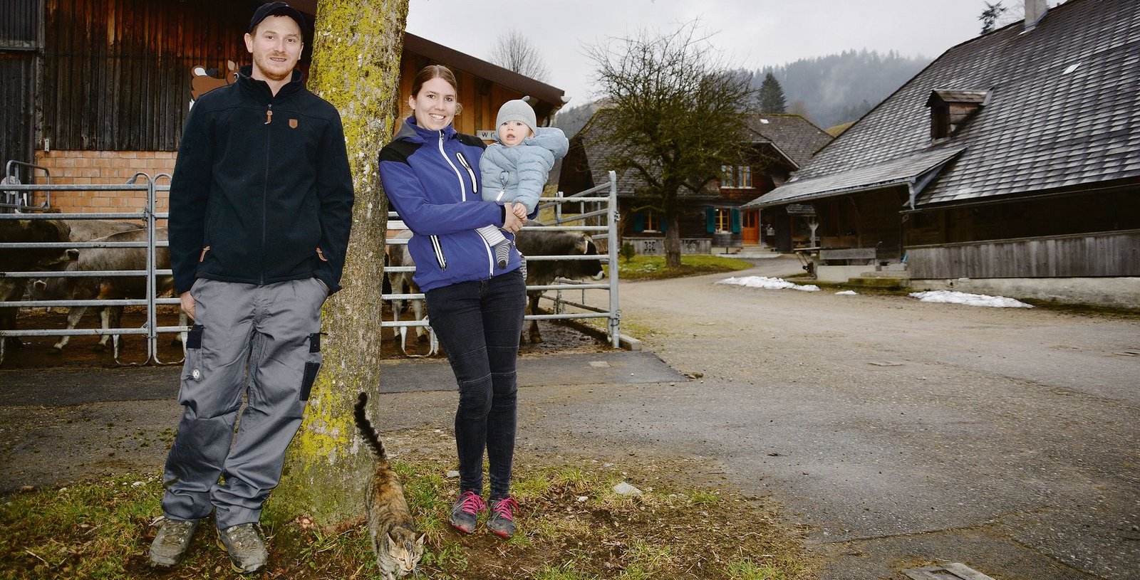 Wie Nadia und Peter Zemp ihren Betrieb gefunden haben - bauernzeitung ...