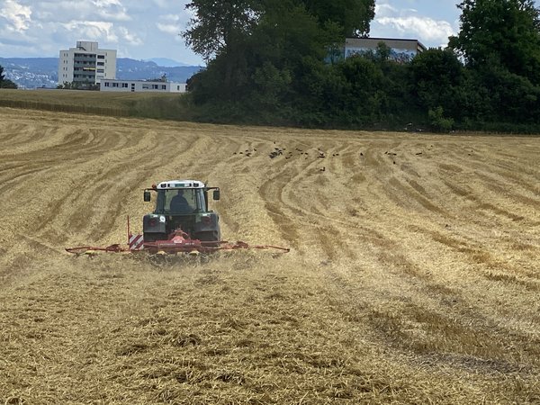 Ackerbau: Kalkgabe nach der Ernte einplanen - bauernzeitung.ch | BauernZeitung