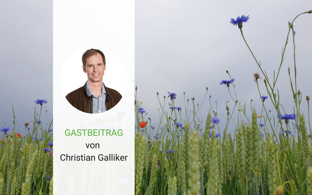 Biodiversität: Verfluchen oder anpacken? - bauernzeitung.ch | BauernZeitung