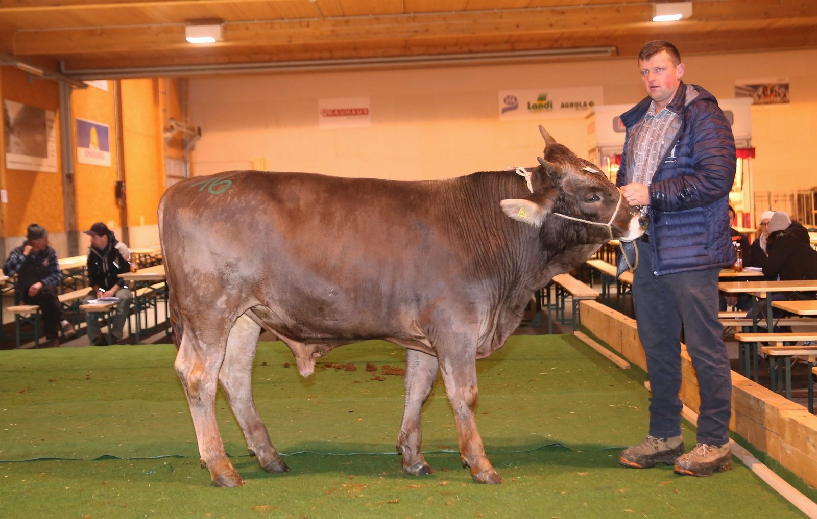 Trotz zäher Auktion wurden alle Tiere in Sargans verkauft ...