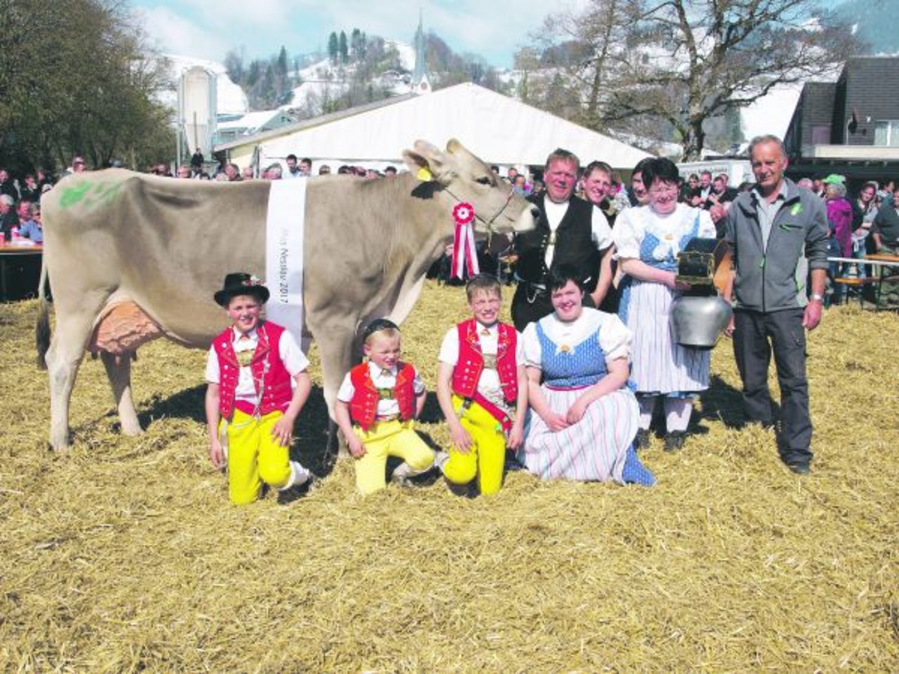 Viehzucht: Erfolgreich dem Schnee getrotzt - bauernzeitung.ch ...