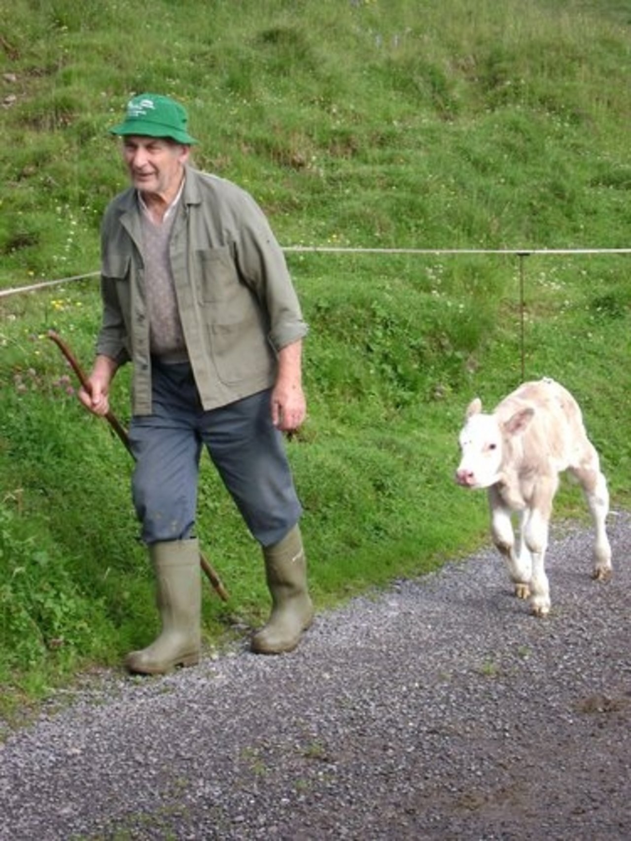 Eigentlich geht es den Schweizer Bauern gut - bauernzeitung.ch ...