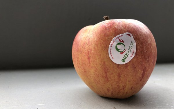 Die Schweizer Bio-Landschaft: Ein grafischer Überblick - bauernzeitung ...