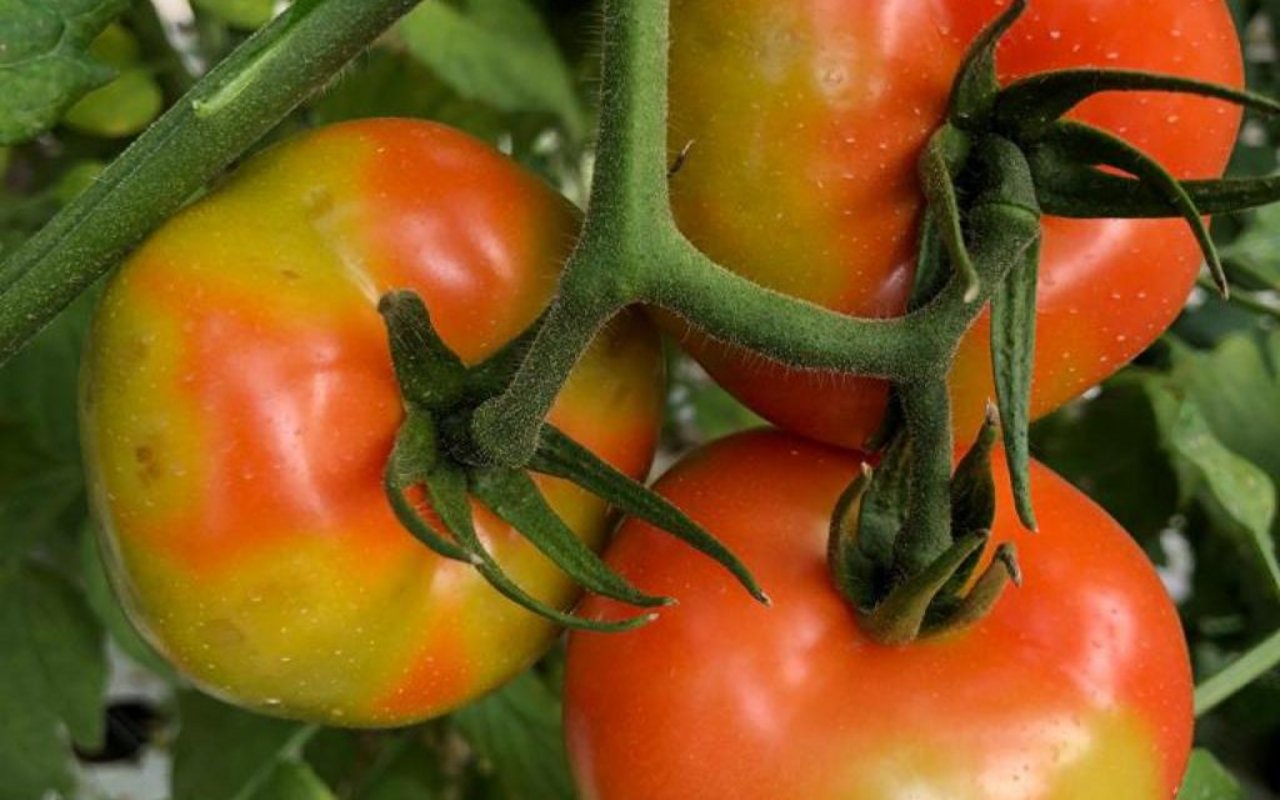 Bis 1000 Stichproben und Wasseruntersuchungen zum Schutz vor dem ...